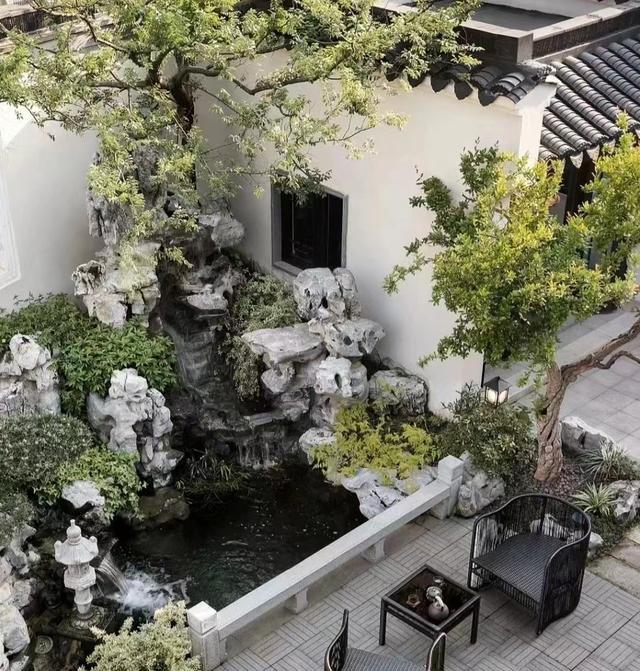 庭院魚池要做好，這四點得先弄清楚！-imomo植物識別